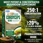stress relief with cordyceps extract
