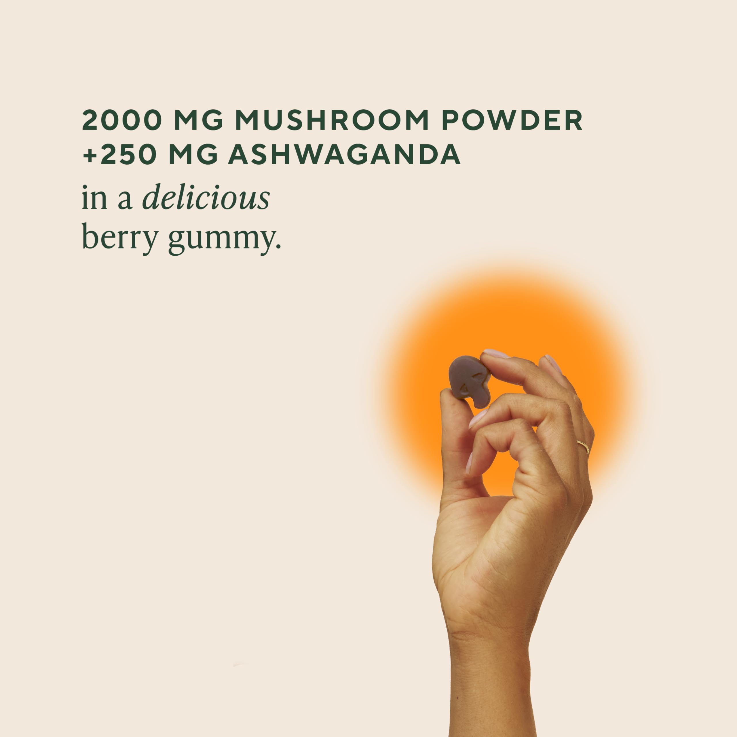 stress relief with mushroom blend