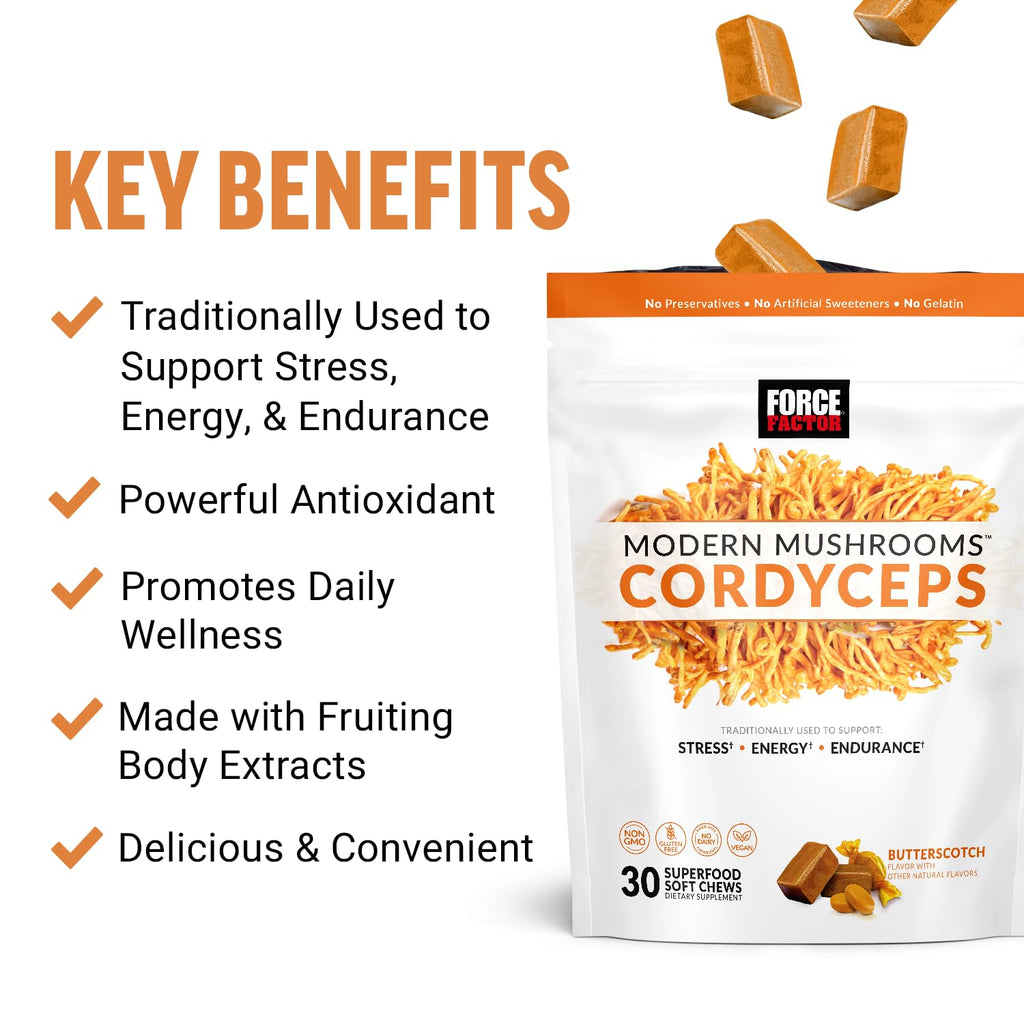 Stress relief with mushroom chews