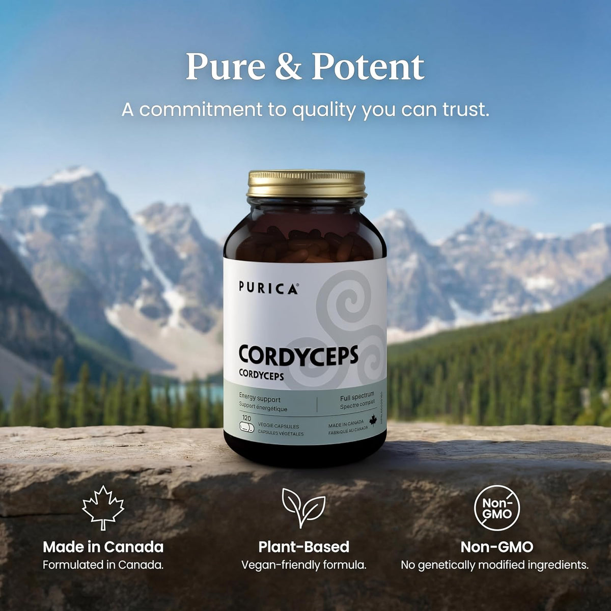 Stress relief with PURICA mushrooms