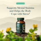 stress relief with rhodiola
