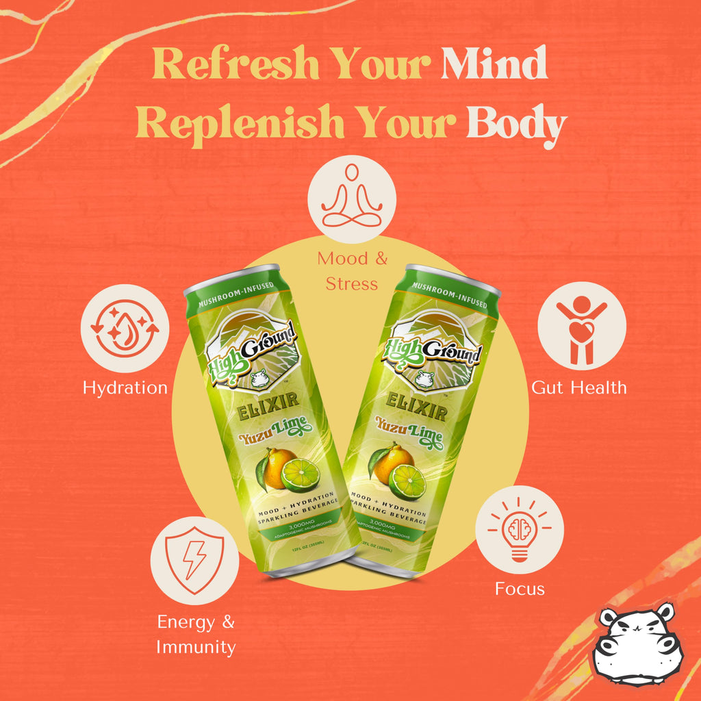 stress-relieving Reishi mushroom drink
