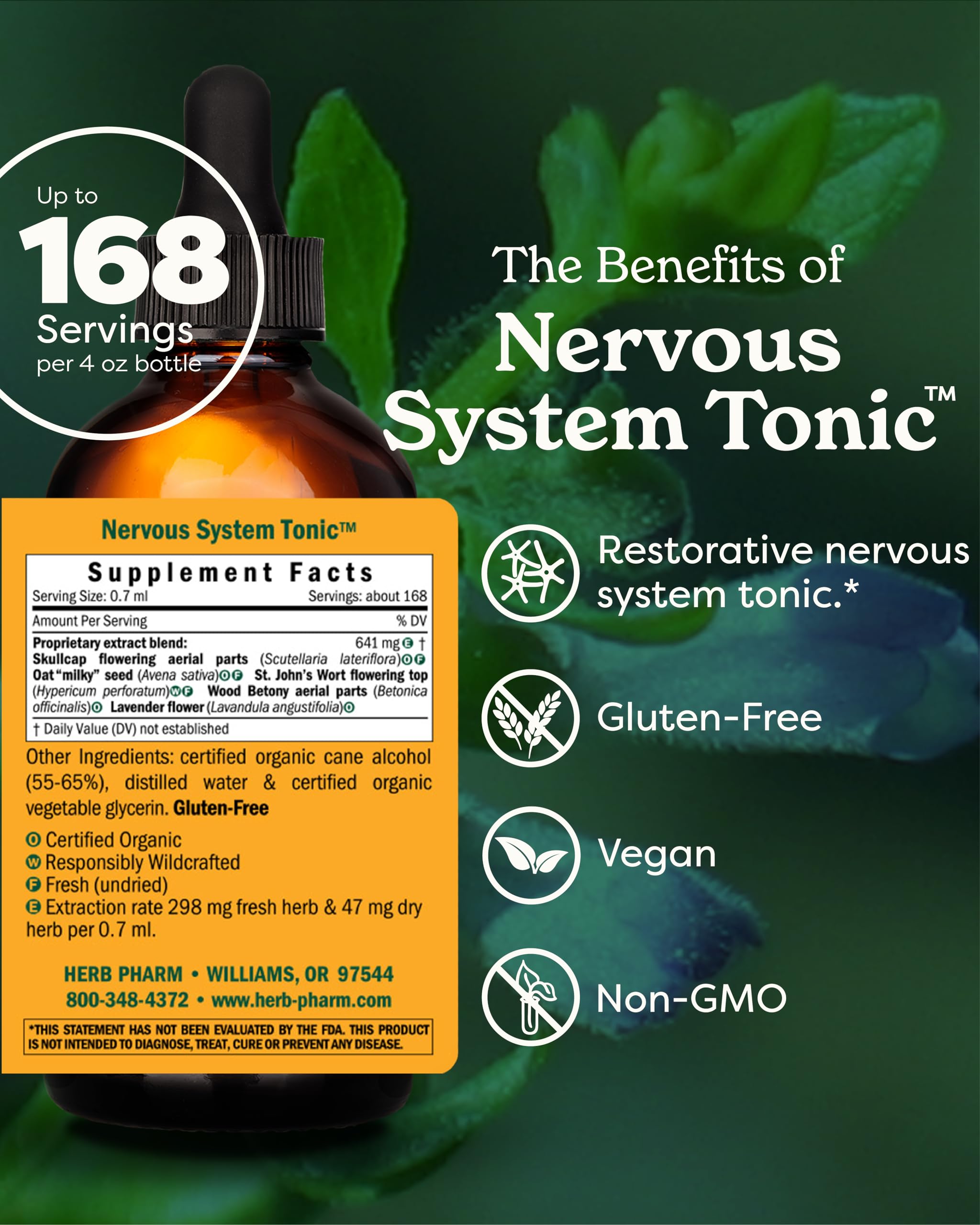 Stress support liquid extract with echinacea