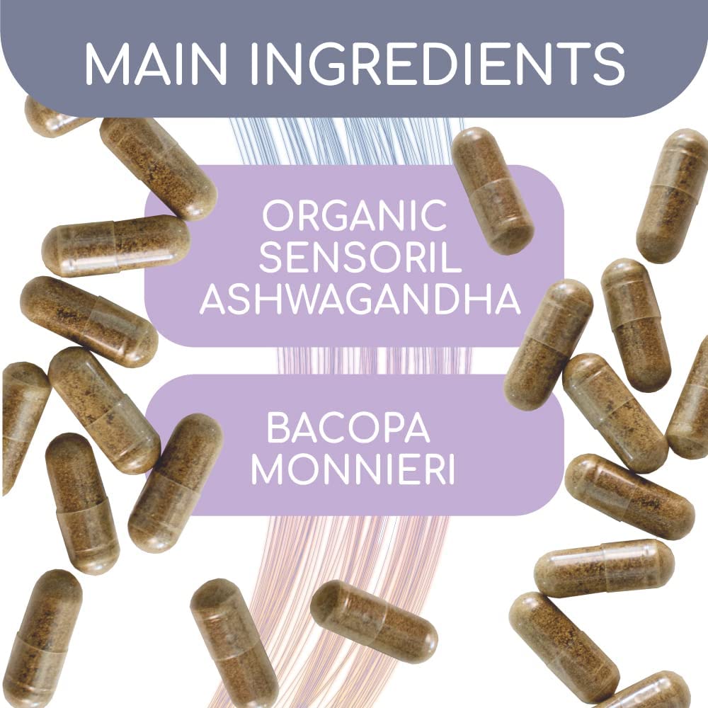 stress support vitamins for daily use