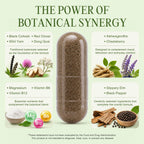 stress support with ashwagandha