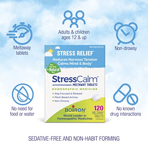StressCalm multivitamin for men energy boost
