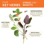 StressCare ashwagandha for daily calmness