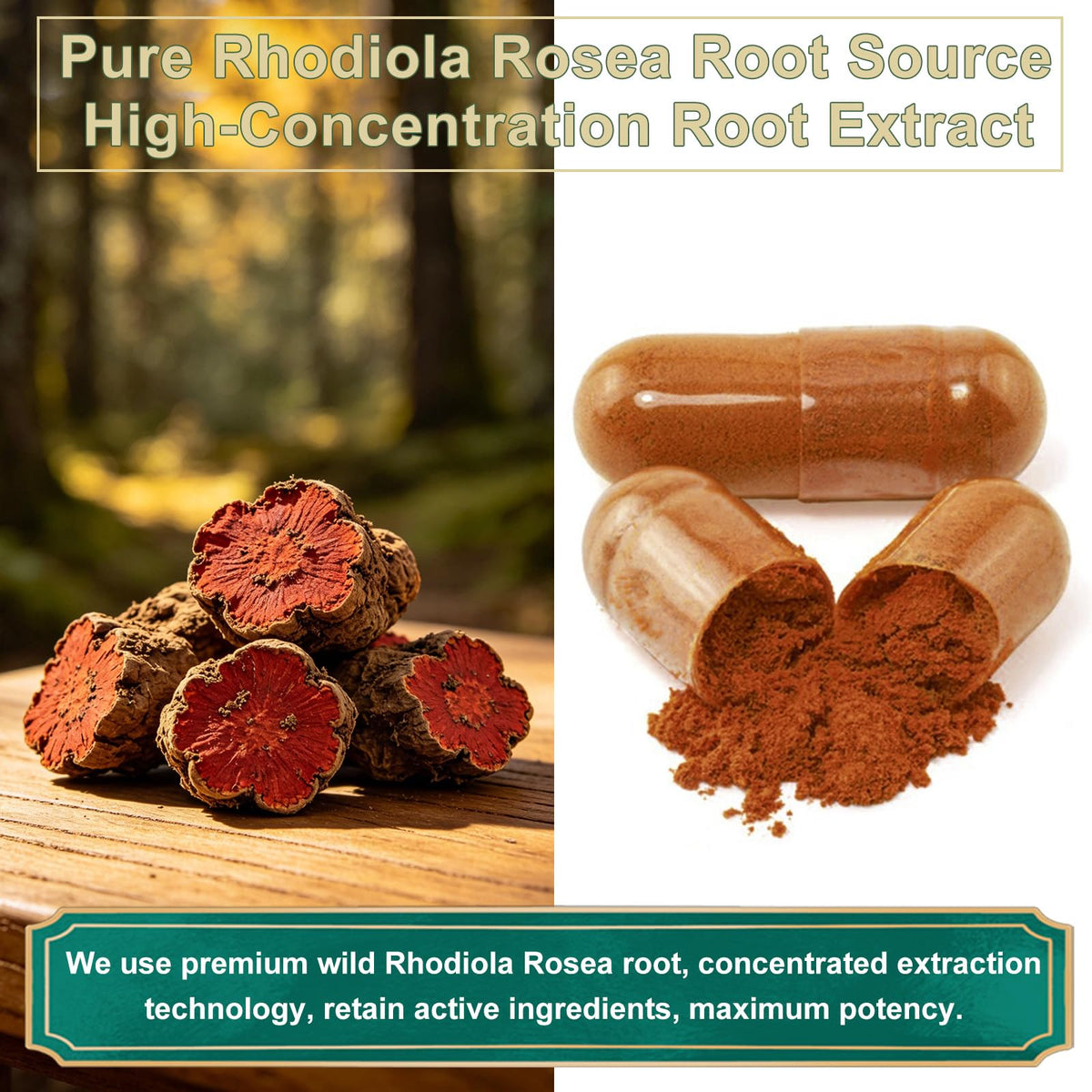 StressXcel Rhodiola for mental clarity