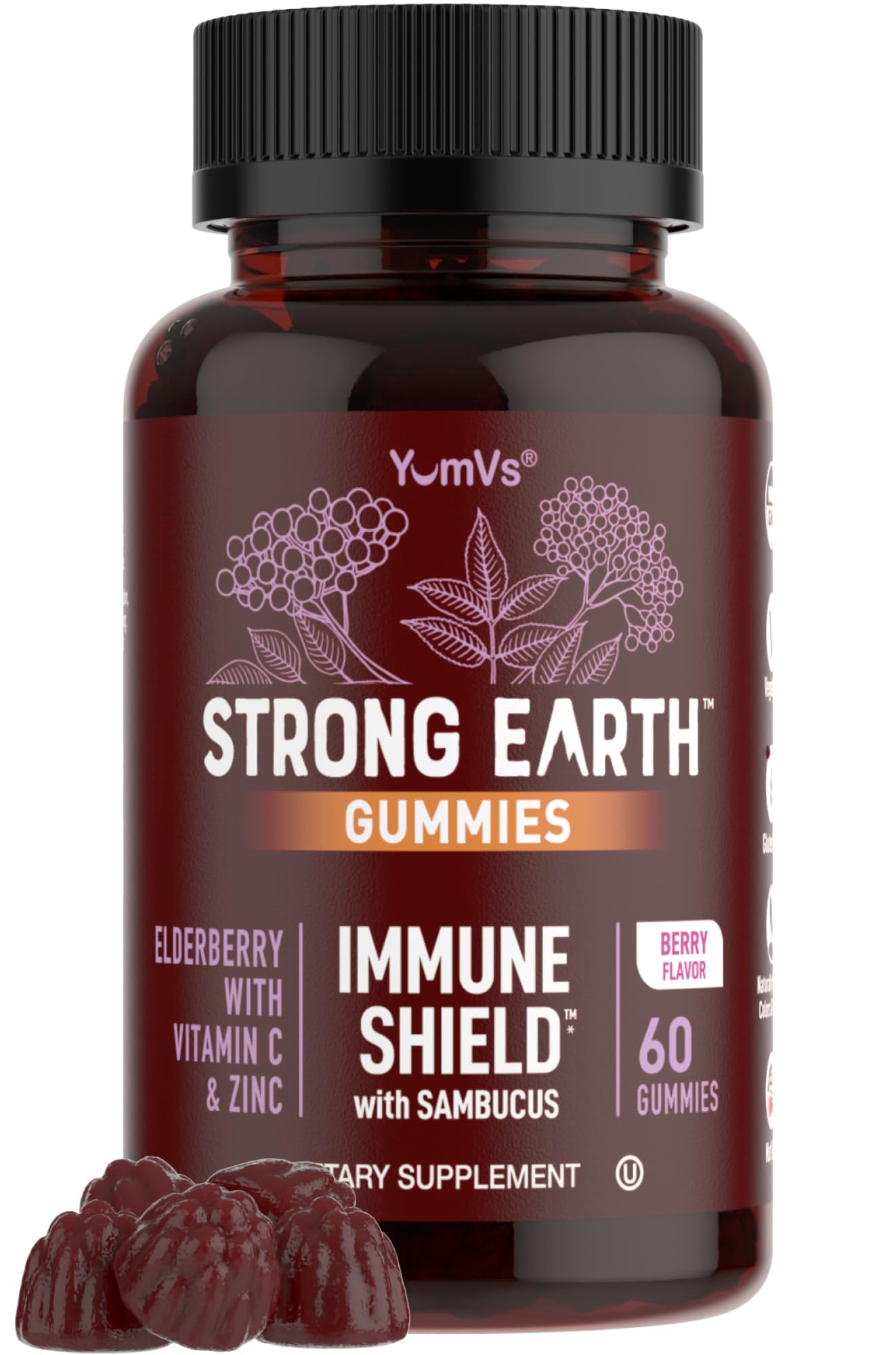 strong earth elderberry gummies for immunity