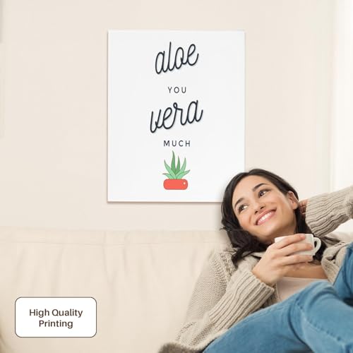 Stylish aloe vera home decoration
