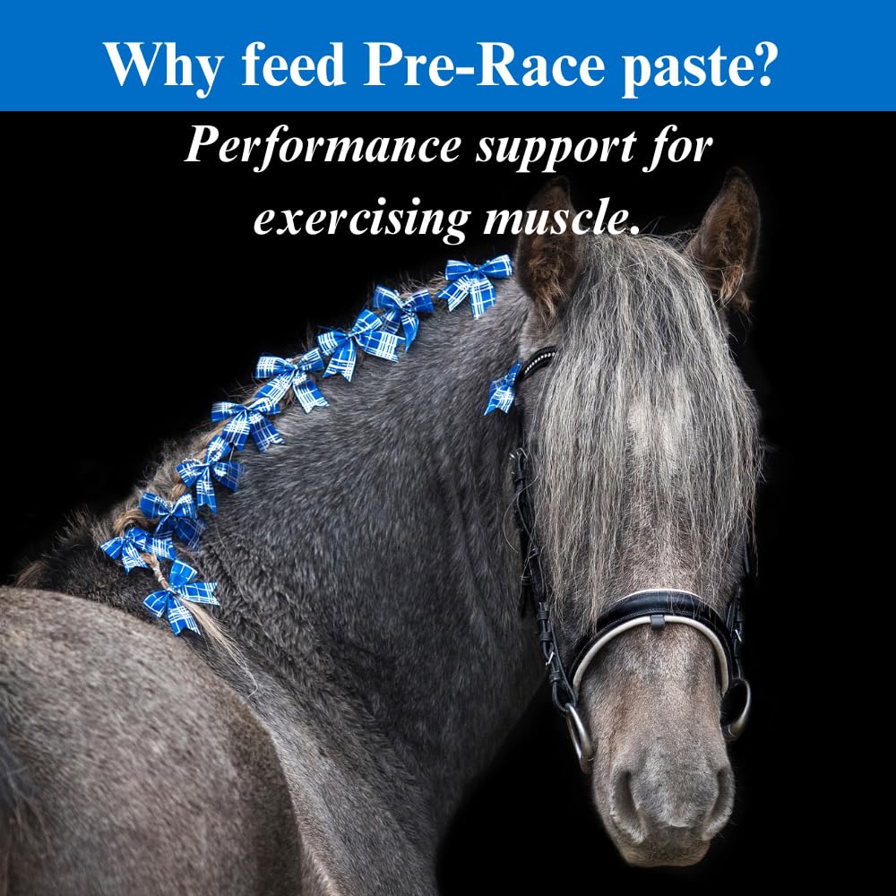 SU-PER syringes for horse nutrition