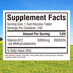sublingual vitamin B12 for energy