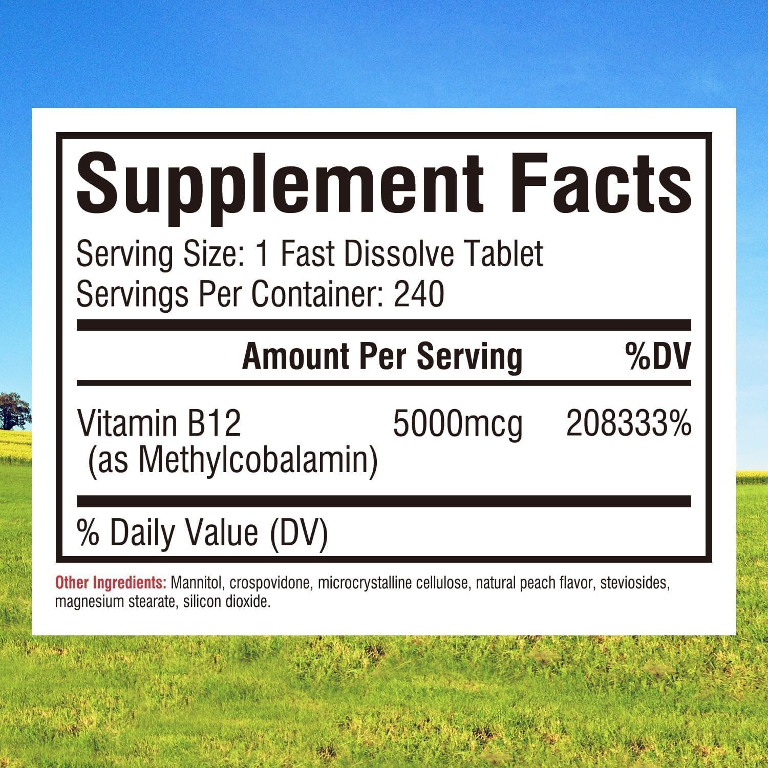 sublingual vitamin B12 for energy
