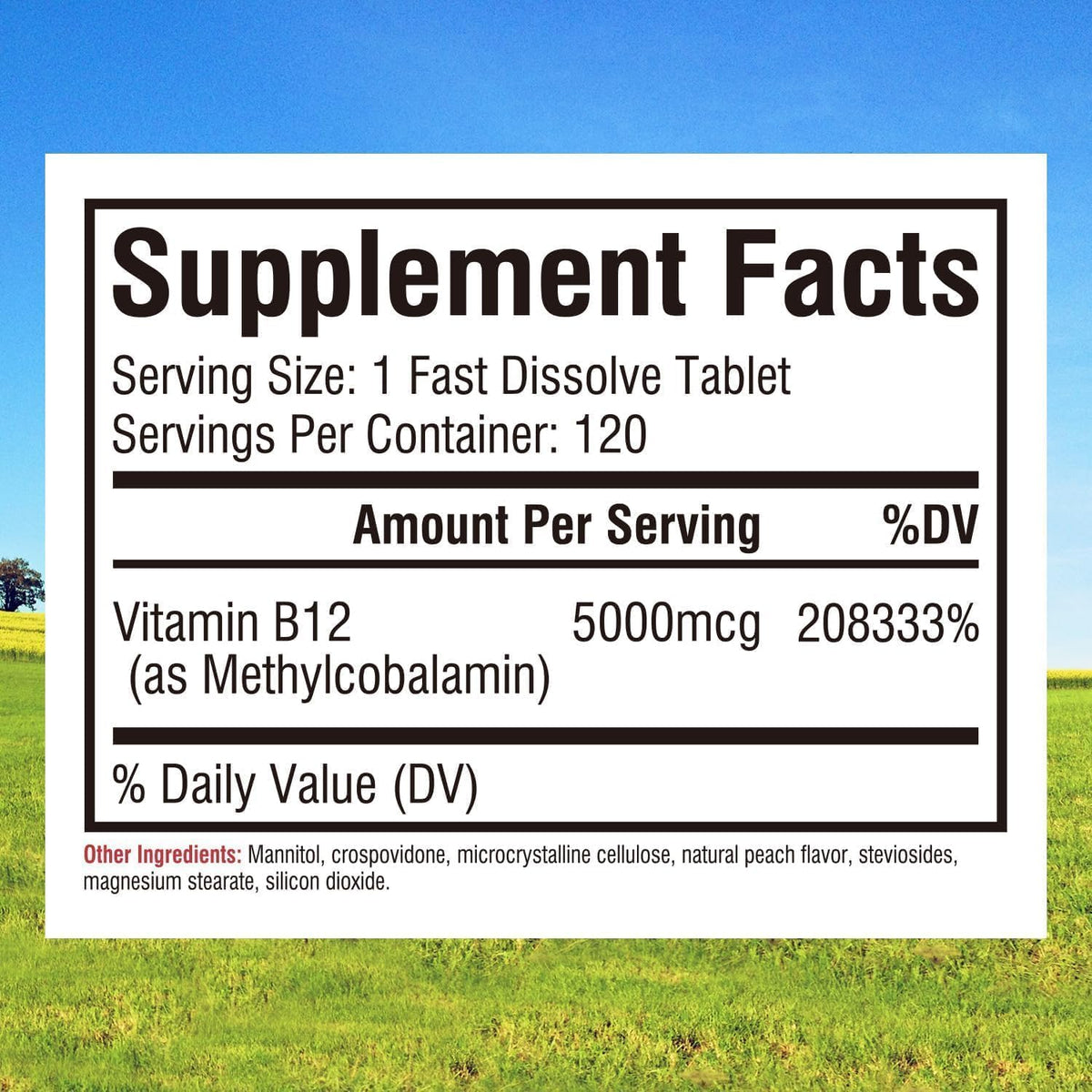 sublingual vitamin b12 for energy