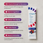 sugar free creatine for athletes