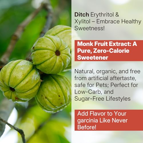 sugar free dietary supplement gummies