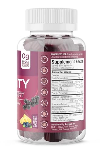 sugar free elderberry gummies for kids