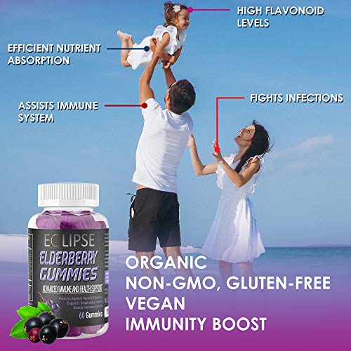 sugar-free elderberry gummy options
