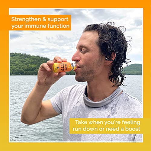 sugar-free elderberry health shots