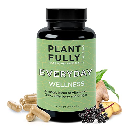 sugar free elderberry supplement for health