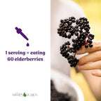 sugar free elderberry syrup for kids