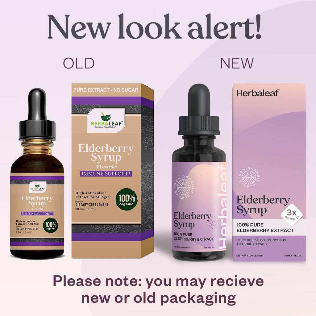 sugar-free elderberry syrup for kids