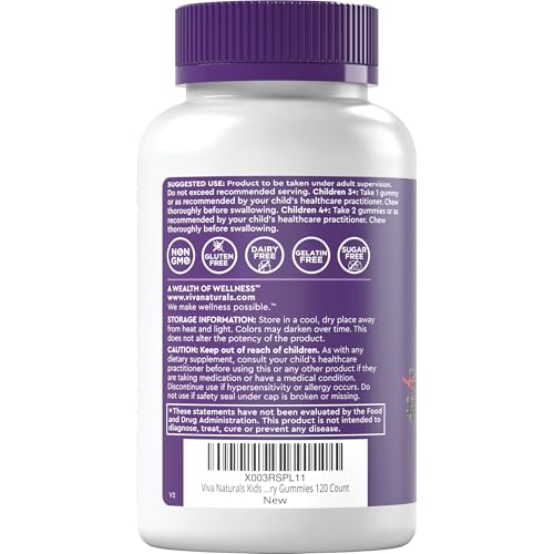 sugar-free elderberry vitamins for kids