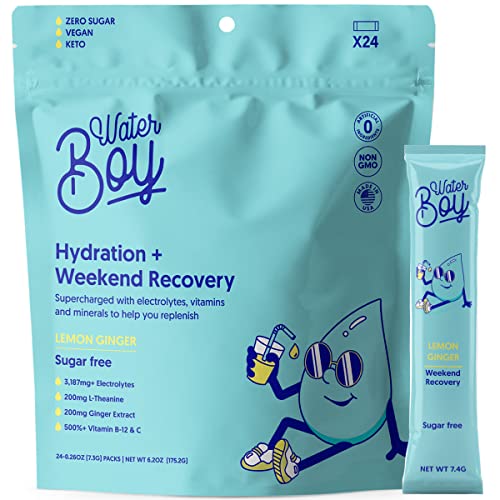 sugar-free electrolyte drink mix