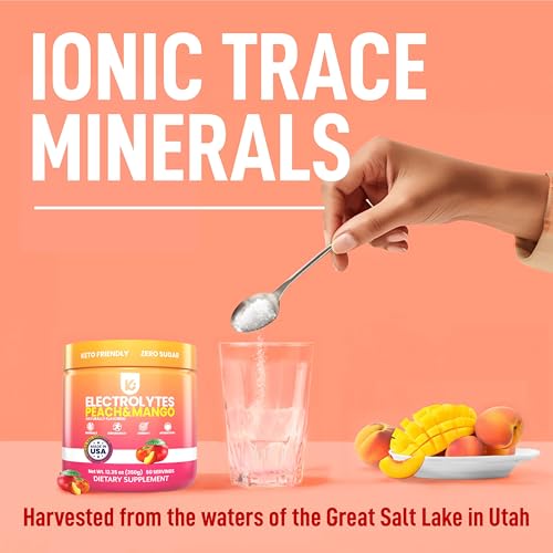 sugar-free electrolyte powder for workouts