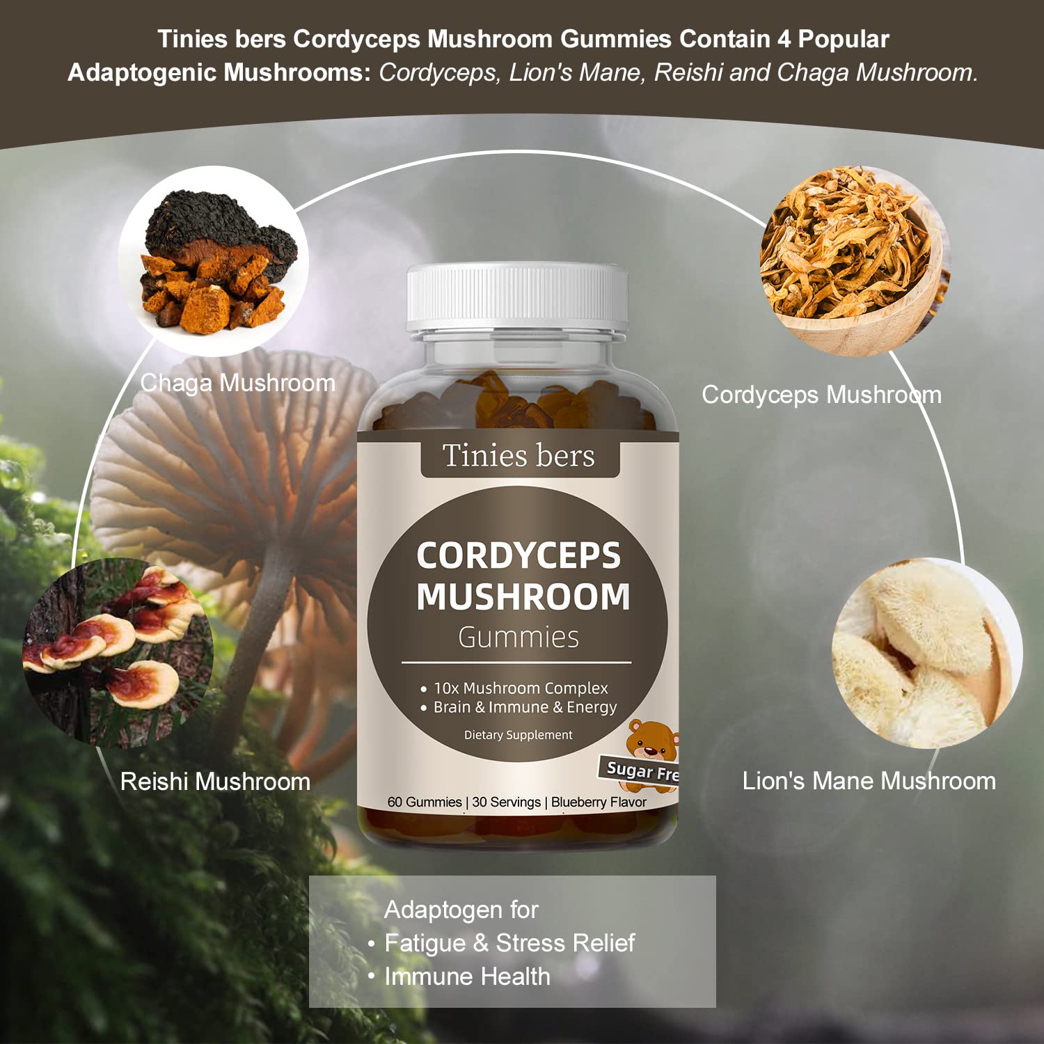 sugar-free energy boost from mushrooms