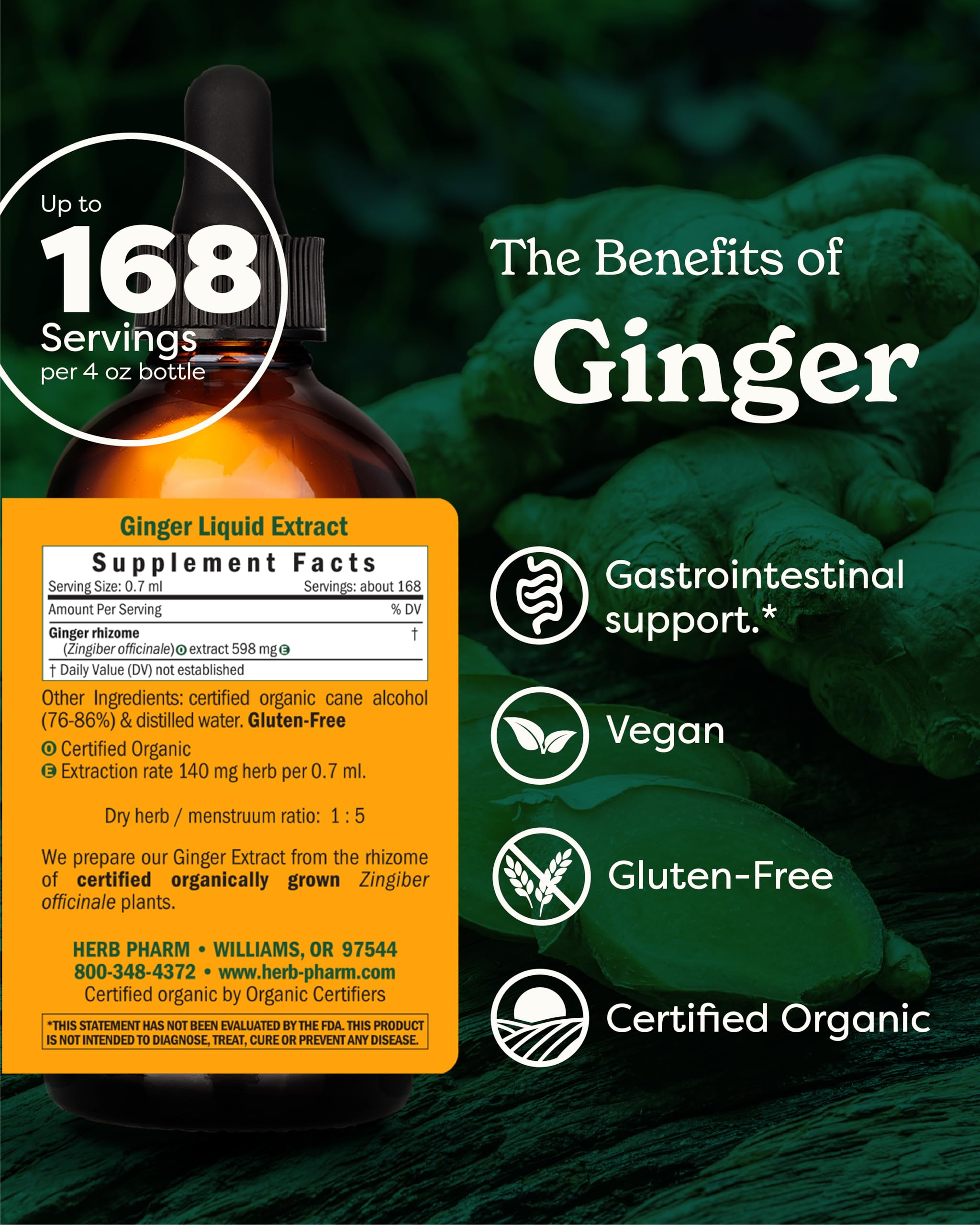 sugar-free ginger digestive support