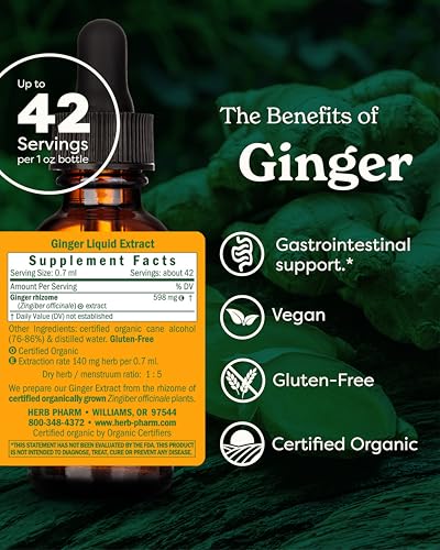 sugar-free ginger supplement benefits