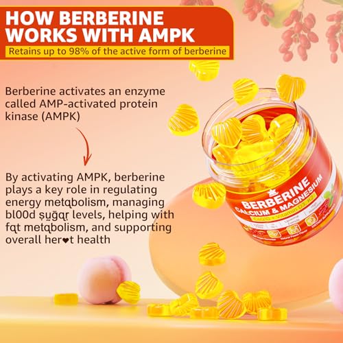 sugar-free gummies for healthy lifestyle