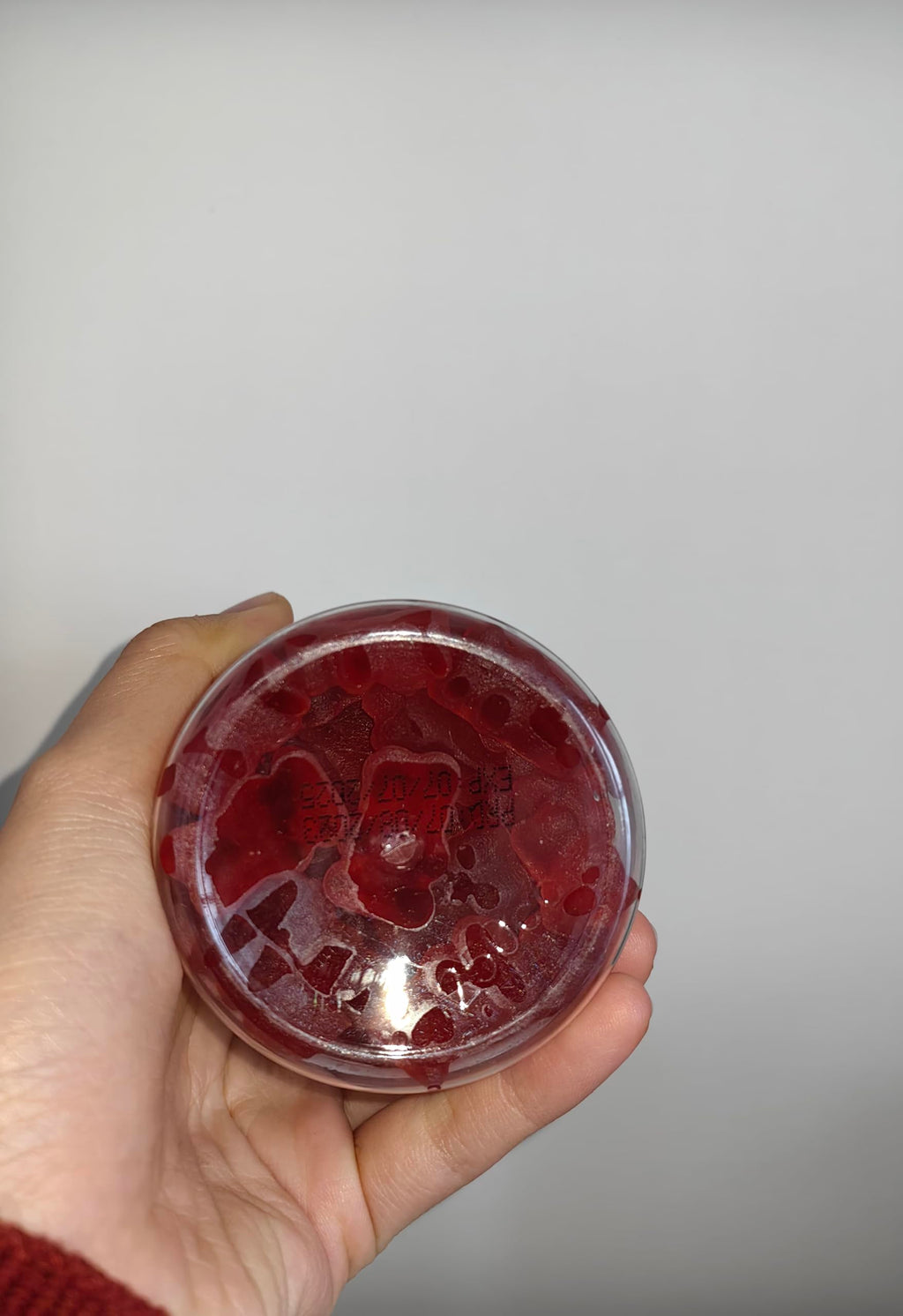 sugar-free gummies with essential vitamins