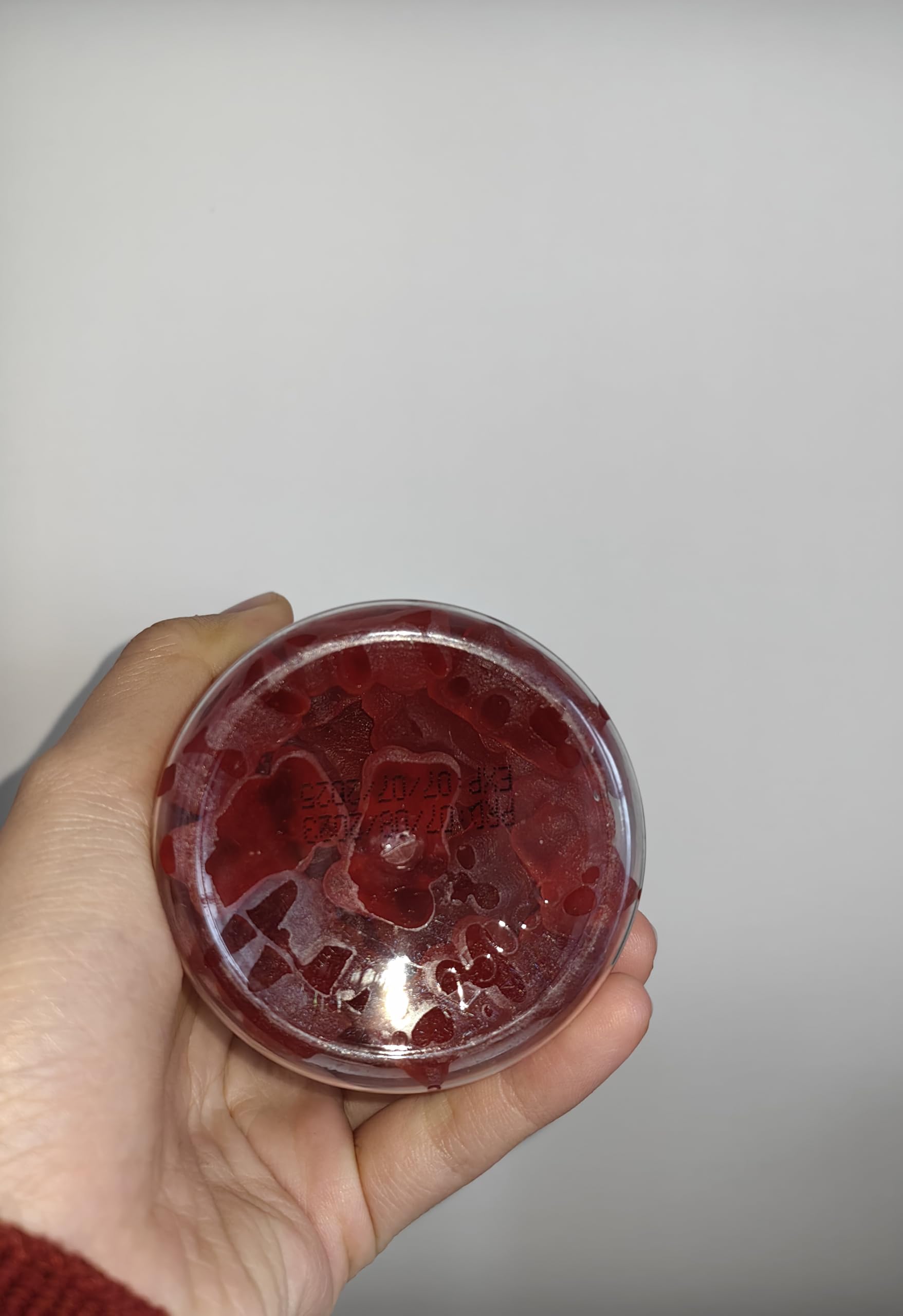 sugar-free gummies with essential vitamins