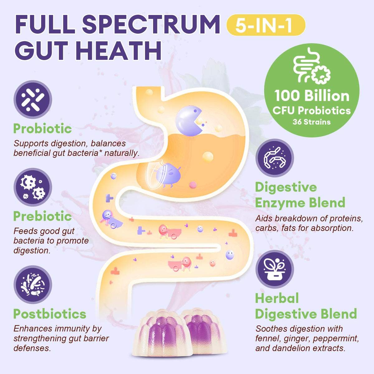 sugar free gummy probiotics for gut health