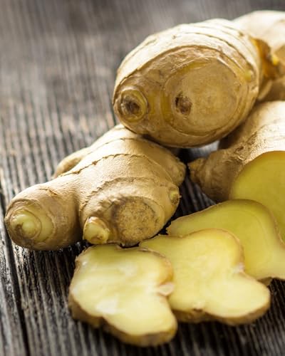 sugar-free herbal ginger solution