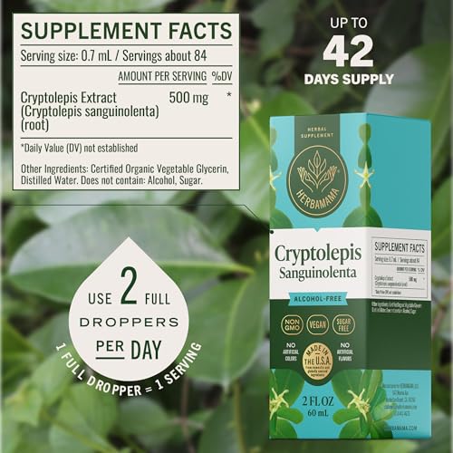 Sugar-free herbal supplements for energy
