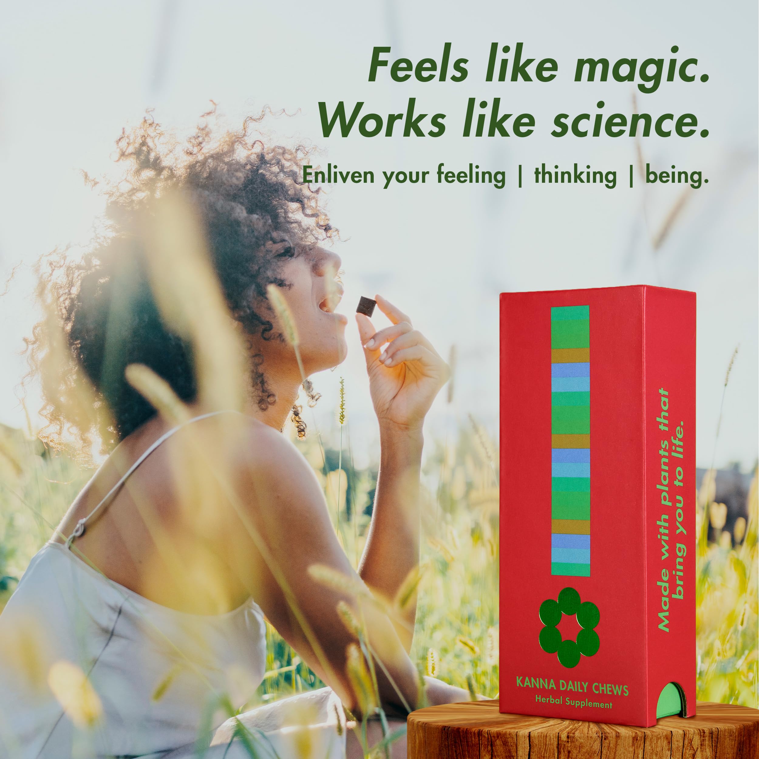 sugar-free Kanna extract for focus