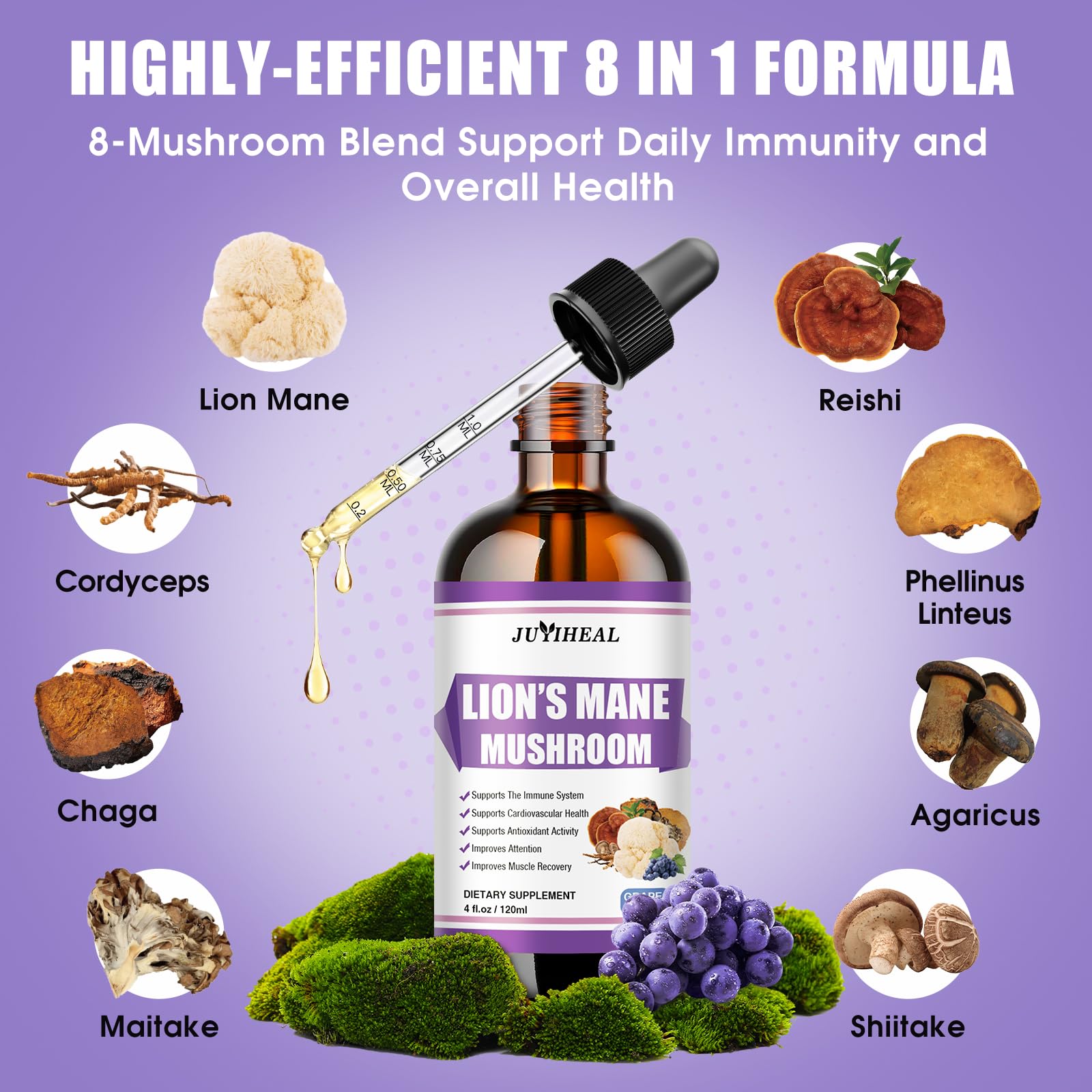 Sugar-free Lions Mane extract