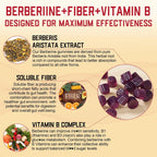 sugar free probiotics for better digestion
