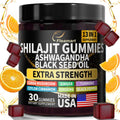 sugar-free shilajit gummies for energy