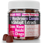 sugar-free shilajit mushroom gummies
