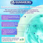 sugar-free sleep blend gummies