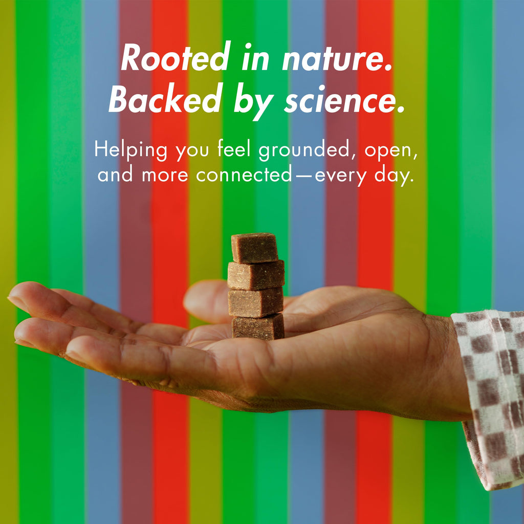 sugar-free supplements for healthy lifestyle