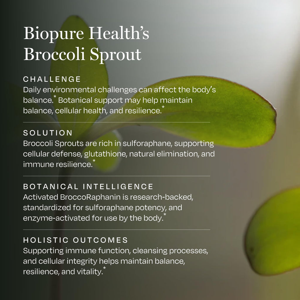 Sulforaphane-rich broccoli sprout supplement