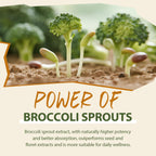 sulforaphane supplement for antioxidant protection