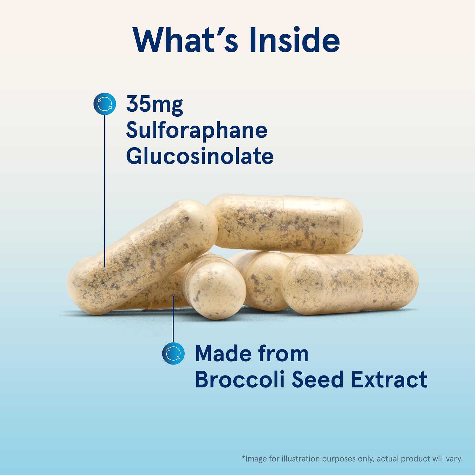 sulforaphane support for wellness