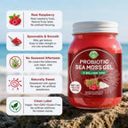 SumDIP sea moss gel for immunity