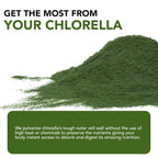 Sun Chlorella 5000 IU vitamin D